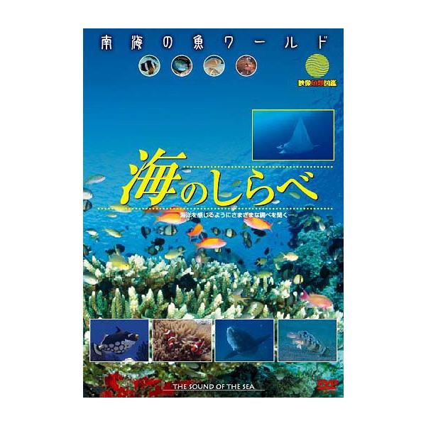 【発売日：2010年05月19日】趣味教養/南海の魚ワールド 海のしらべ 映像魚類図鑑、メディア：DVD、発売日：2010/05/19、商品コード：DGGA-1102、JANコード/ISBNコード：4994220710701