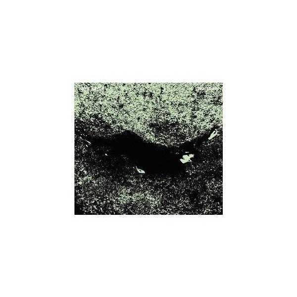 【発売日：2018年06月27日】ジェイ・ジェイル/NO TRAIL AND OTHER UNHOLY PATHS、メディア：CDA、発売日：2018/06/27、商品コード：DYMC-301、JANコード/ISBNコード：49880440...