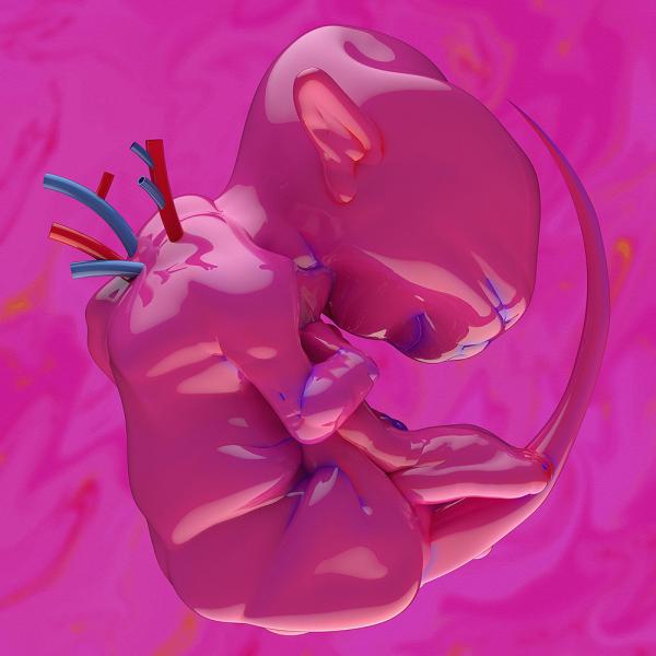 【発売日：2025年08月01日】春ねむり/ekkolaptomenos、メディア：CDA、発売日：2025/08/01、商品コード：EKKO-5、JANコード/ISBNコード：4522197159423