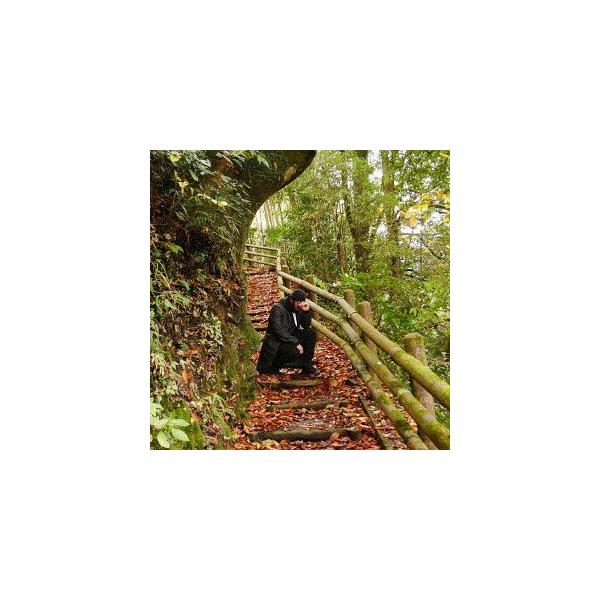 【発売日：2017年03月08日】Demon seto/Hard n Downer mind、メディア：CDA、発売日：2017/03/08、商品コード：EVMRGRF-1、JANコード/ISBNコード：4526180411864