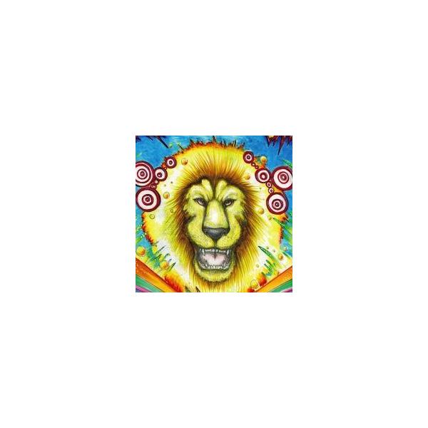 【発売日：2011年07月20日】グッドモーニングアメリカ/ウォールペーパーミュージックじゃ踊りたくないぜ、メディア：CDA、発売日：2011/07/20、商品コード：FIVER-13、JANコード/ISBNコード：4562181642500