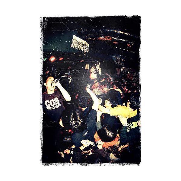 【発売日：2013年03月13日】COUNT OF STRENGTH/LIVE AT FAMILY TREE AND WE ARE ONE、メディア：DVD、発売日：2013/03/13、商品コード：FL-12、JANコード/ISBNコード...