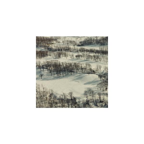 【発売日：2021年07月21日】トウヤマタケオ/四辺は森として、メディア：CDA、発売日：2021/07/21、商品コード：FOUR-140、JANコード/ISBNコード：4582561395253