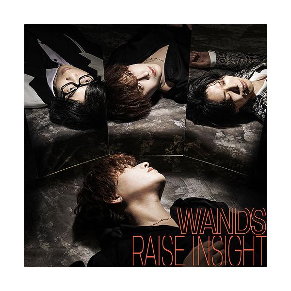 【発売日：2023年05月17日】WANDS/RAISE INSIGHT [CD+Blu-ray/通常盤]、メディア：CDA、発売日：2023/05/17、商品コード：GZCD-7014、JANコード/ISBNコード：4523949108201
