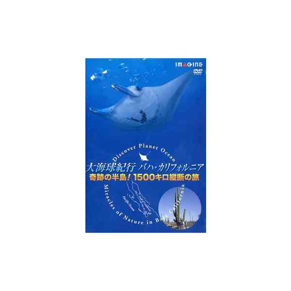 【発売日：2006年05月26日】趣味教養/大海球紀行バハ・カリフォルニア、メディア：DVD、発売日：2006/05/26、商品コード：IMDV-5、JANコード/ISBNコード：4571189500057