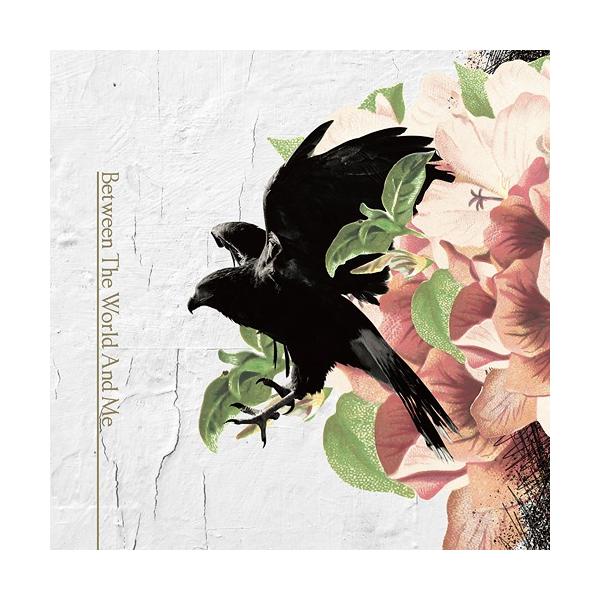 【発売日：2021年02月17日】INORAN/Between The World And Me、メディア：CDA、発売日：2021/02/17、商品コード：KICS-3962、JANコード/ISBNコード：4988003578015