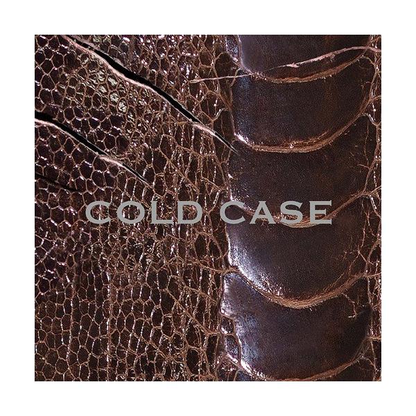 【発売日：2015年11月11日】vistlip/COLD CASE 【vister】 [CD+DVD]、メディア：CDA、発売日：2015/11/11、商品コード：MJSS-9161、JANコード/ISBNコード：4535506091611