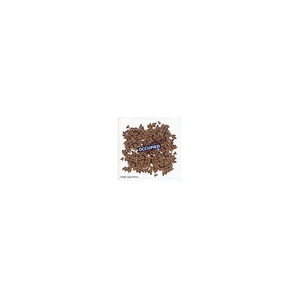 【発売日：2004年07月02日】Indigo Cage Airlines/OCCUPIED＜-＞VACANT、メディア：CDA、発売日：2004/07/02、商品コード：MRCN-2、JANコード/ISBNコード：4562137760074