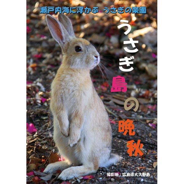 【発売日：2016年09月30日】趣味教養/うさぎ島の晩秋、メディア：DVD、発売日：2016/09/30、商品コード：MVPT-48、JANコード/ISBNコード：4582187200481