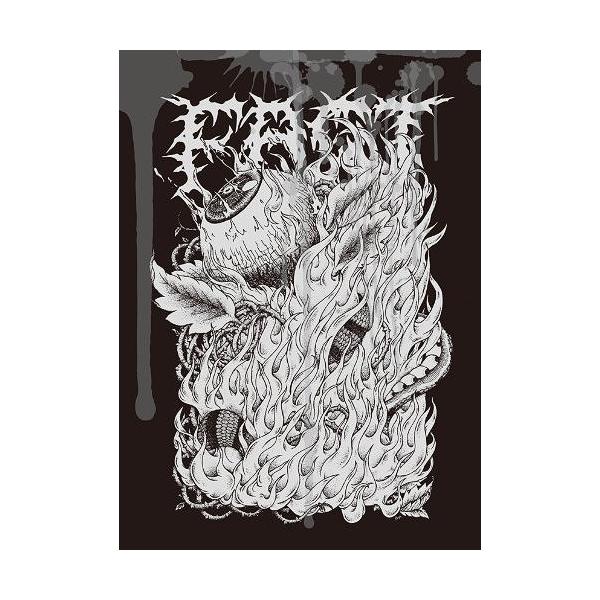 【発売日：2011年03月16日】FACT/FACT / co3 [2CD+能面+Tシャツ (Sサイズ)] [数量限定盤]、メディア：CDA、発売日：2011/03/16、重量：689g、商品コード：MXMM-10017、JANコード/IS...