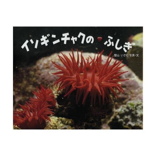 【発売日：2013年03月11日】楚山いさむ/写真・文/イソギンチャクのふしぎ (ふしぎいっぱい写真絵本)、メディア：BOOK、発売日：2013/03、重量：340g、商品コード：NEOBK-1465937、JANコード/ISBNコード：9...