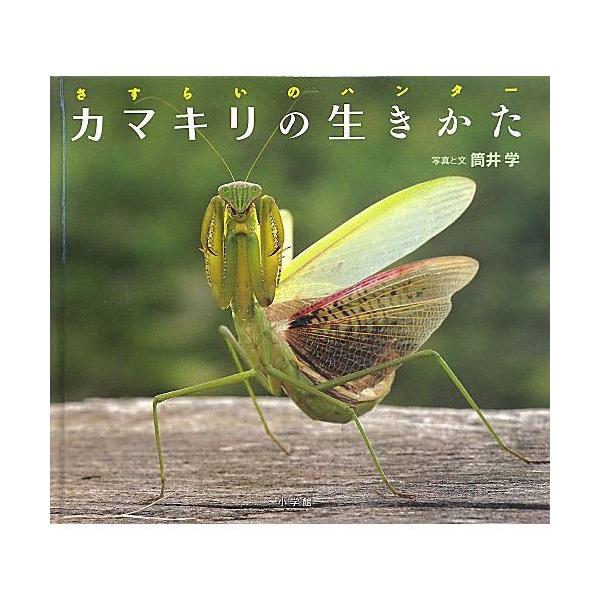 【発売日：2013年07月28日】筒井学/写真と文/カマキリの生きかた さすらいのハンター (小学館の図鑑NEOの科学絵本)、メディア：BOOK、発売日：2013/07、重量：378g、商品コード：NEOBK-1534997、JANコード/...