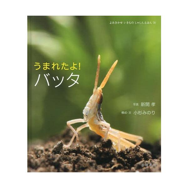 【発売日：2013年10月28日】新開孝/写真 小杉みのり/構成・文/うまれたよ!バッタ (よみきかせいきものしゃしんえほん)、メディア：BOOK、発売日：2013/10、重量：340g、商品コード：NEOBK-1581436、JANコード...