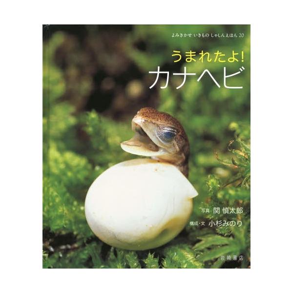 【発売日：2013年12月13日】関慎太郎/写真 小杉みのり/構成・文/うまれたよ!カナヘビ (よみきかせいきものしゃしんえほん)、メディア：BOOK、発売日：2013/12、重量：340g、商品コード：NEOBK-1600388、JANコ...