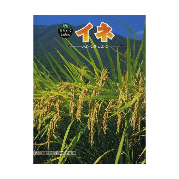【発売日：2014年03月28日】飯村茂樹/著 白岩等/監修/イネ 米ができるまで (科学のアルバムかがやくいのち)、メディア：BOOK、発売日：2014/03、重量：340g、商品コード：NEOBK-1617552、JANコード/ISBN...