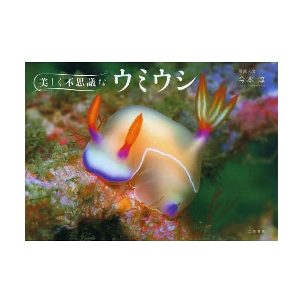 【発売日：2014年02月27日】今本淳/写真・文/美しく不思議なウミウシ、メディア：BOOK、発売日：2014/02、重量：400g、商品コード：NEOBK-1631260、JANコード/ISBNコード：9784576140247