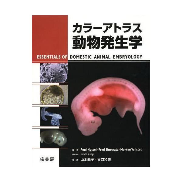 【発売日：2014年04月28日】PoulHyttel/編著 FredSinowatz/編著 MortenVejlsted/編著 山本雅子/監訳 谷口和美/監訳/カラーアトラス動物発生学 / 原タイトル:Essentials of Dome...