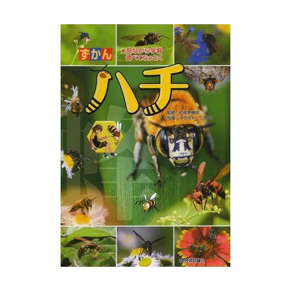 【発売日：2014年05月04日】松本吏樹郎/監修 coco/写真・イラスト/ずかんハチ 見ながら学習調べてなっとく、メディア：BOOK、発売日：2014/05、重量：557g、商品コード：NEOBK-1659300、JANコード/ISBN...