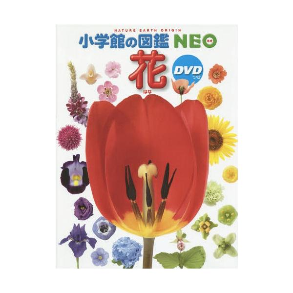 【発売日：2014年06月28日】多田多恵子/監修・執筆 大作晃一/ほか写真/花 [DVD付き新版] (小学館の図鑑NEO)、メディア：BOOK、発売日：2014/06、重量：650g、商品コード：NEOBK-1679550、JANコード/...