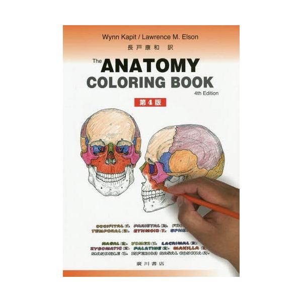 【発売日：2015年01月28日】WynnKapit/〔著〕 LawrenceM.Elson/〔著〕 長戸康和/訳/カラースケッチ解剖学 / 原タイトル:THE ANATOMY COLORING BOOK 原著第4版の翻訳、メディア：BOO...