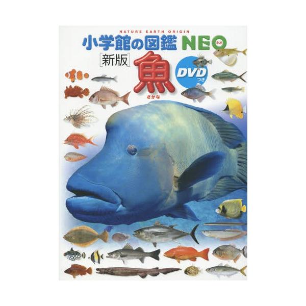 【発売日：2015年06月18日】井田齊/監修・執筆 松浦啓一/監修・執筆 藍澤正宏/ほか指導・執筆 松沢陽士/ほか撮影 近江卓/ほか撮影/魚 [DVD付き新版] (小学館の図鑑NEO)、メディア：BOOK、発売日：2015/06、重量：6...