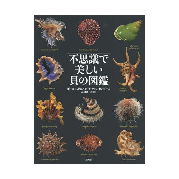 【発売日：2015年08月23日】ポール・スタロスタ/著 ジャック・センダース/著 高田良二/監訳/不思議で美しい貝の図鑑 / 原タイトル:CONCHIGLIE(重訳) 原タイトル:SEASHELLS、メディア：BOOK、発売日：2015/...