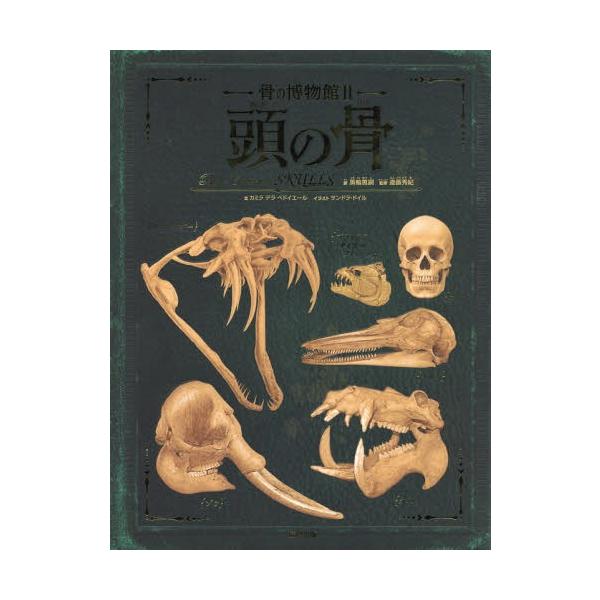 【発売日：2015年10月10日】黒輪篤嗣/訳 遠藤秀紀/日本語版監修/骨の博物館 2 / 原タイトル:Bone Collection:SKULLS、メディア：BOOK、発売日：2015/10、重量：340g、商品コード：NEOBK-184...