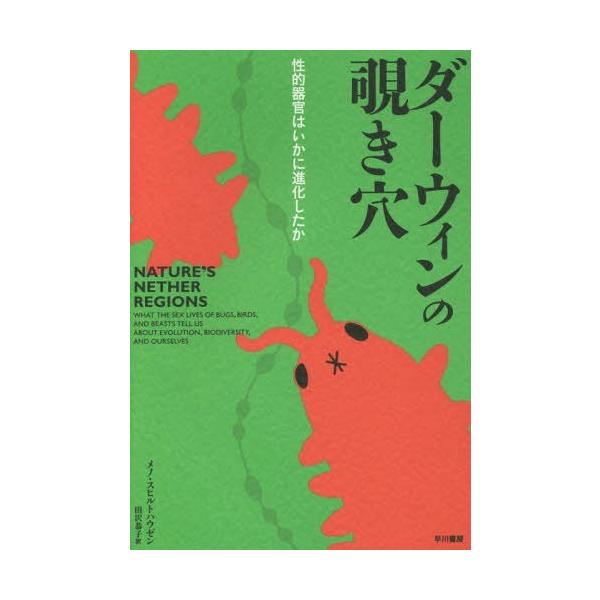 【発売日：2016年01月24日】メノ・スヒルトハウゼン/著 田沢恭子/訳/ダーウィンの覗き穴 性的器官はいかに進化したか / 原タイトル:NATURE’S NETHER REGIONS、メディア：BOOK、発売日：2016/01、重量：3...