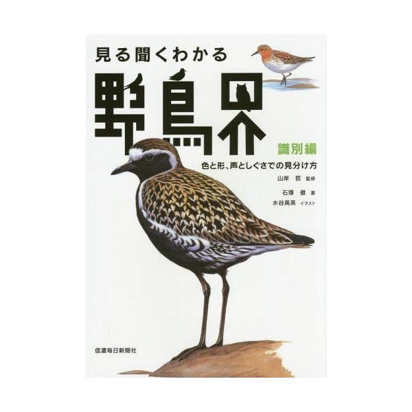 【発売日：2016年04月24日】山岸哲/監修 石塚徹/著 水谷高英/イラスト/見る聞くわかる野鳥界 識別編、メディア：BOOK、発売日：2016/04、重量：340g、商品コード：NEOBK-1937777、JANコード/ISBNコード：...
