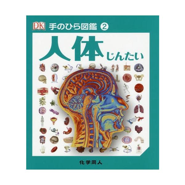 【発売日：2016年06月06日】リチャード・ウォーカー/著 伊藤伸子/訳/人体 / 原タイトル:Pocket Eyewitness HUMAN BODY (手のひら図鑑)、メディア：BOOK、発売日：2016/06、重量：340g、商品コ...
