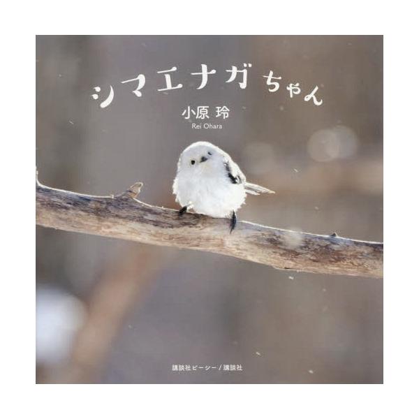 【発売日：2016年11月04日】小原玲/著/シマエナガちゃん、メディア：BOOK、発売日：2016/11、重量：170g、商品コード：NEOBK-2021039、JANコード/ISBNコード：9784062203401