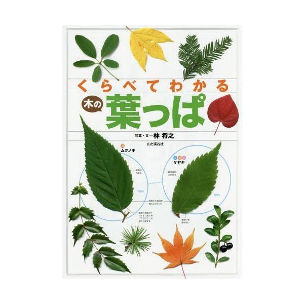 【発売日：2017年03月04日】林将之/写真・文/くらべてわかる木の葉っぱ スキャン画像で見分ける、メディア：BOOK、発売日：2017/03、重量：486g、商品コード：NEOBK-2065910、JANコード/ISBNコード：9784...