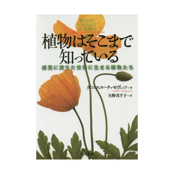 【発売日：2017年03月05日】ダニエル・チャモヴィッツ/著 矢野真千子/訳/植物はそこまで知っている 感覚に満ちた世界に生きる植物たち / 原タイトル:WHAT A PLANT KNOWS (河出文庫)、メディア：BOOK、発売日：20...