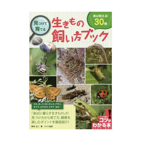 【発売日：2017年07月10日】新宅広二/著/見つけて育てる生きもの飼い方ブック 実は飼える!30種 (コツがわかる本)、メディア：BOOK、発売日：2017/07、重量：340g、商品コード：NEOBK-2114878、JANコード/I...