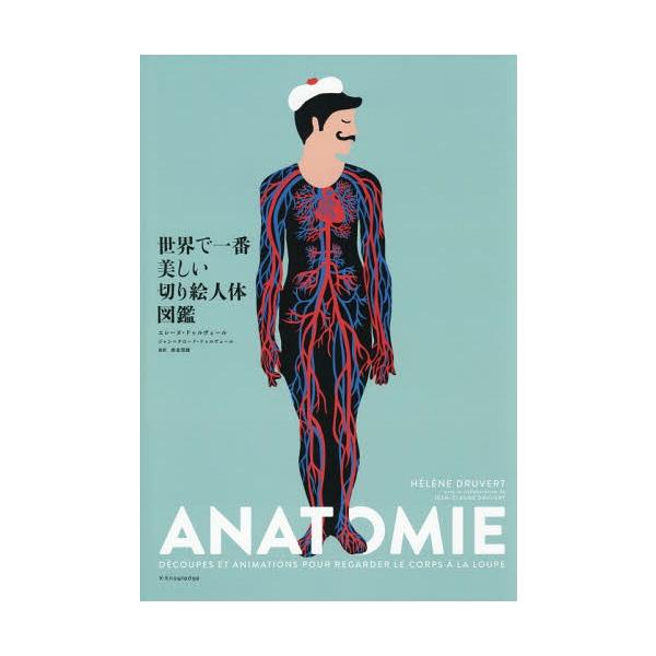 【発売日：2017年12月02日】エレーヌ・ドゥルヴェール/著 奈良信雄/監訳 小川浩一/訳/世界で一番美しい切り絵人体図鑑 / 原タイトル:ANATOMIE、メディア：BOOK、発売日：2017/12、重量：540g、商品コード：NEOB...