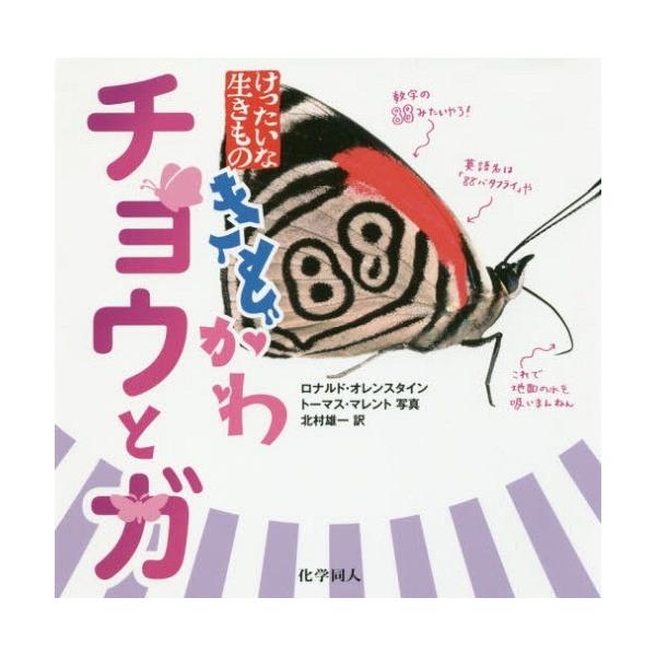【発売日：2017年12月28日】ロナルド・オレンスタイン/〔著〕 トーマス・マレント/写真 北村雄一/訳/きもかわチョウとガ / 原タイトル:WEIRD BUTTERFLIES &amp; MOTHS (けったいな生きもの)、メディア：B...