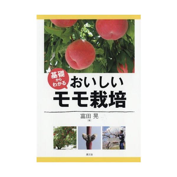 【発売日：2018年02月19日】富田晃/著/基礎からわかるおいしいモモ栽培、メディア：BOOK、発売日：2018/02、重量：383g、商品コード：NEOBK-2197532、JANコード/ISBNコード：9784540161186