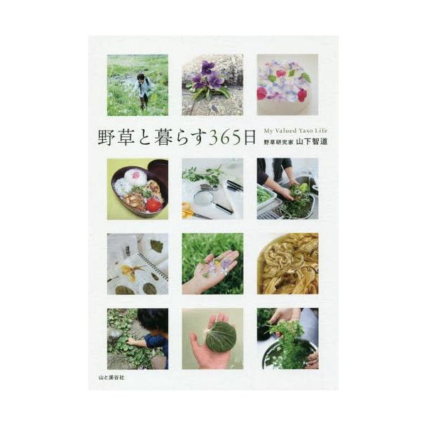 【発売日：2018年06月16日】山下智道/著/野草と暮らす365日、メディア：BOOK、発売日：2018/06、重量：282g、商品コード：NEOBK-2242200、JANコード/ISBNコード：9784635580397