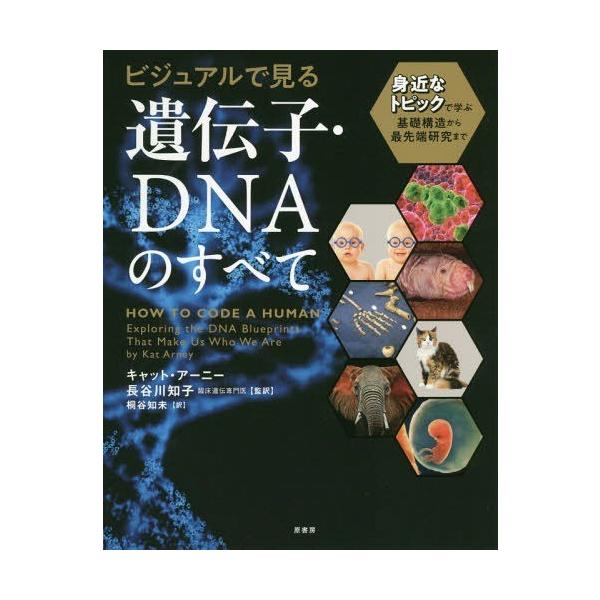 【発売日：2018年06月22日】キャット・アーニー/著 長谷川知子/監訳 桐谷知未/訳/ビジュアルで見る遺伝子・DNAのすべて 身近なトピックで学ぶ基礎構造から最先端研究まで / 原タイトル:HOW TO CODE A HUMAN、メディ...
