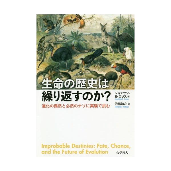 【発売日：2019年06月03日】ジョナサン・B・ロソス/著 的場知之/訳/生命の歴史は繰り返すのか? 進化の偶然と必然のナゾに実験で挑む / 原タイトル:Improbable Destinies、メディア：BOOK、発売日：2019/06...