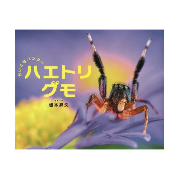 【発売日：2019年06月17日】坂本昇久/写真・文/ちいさなハンターハエトリグモ (ふしぎいっぱい写真絵本)、メディア：BOOK、発売日：2019/06、重量：340g、商品コード：NEOBK-2373319、JANコード/ISBNコード...