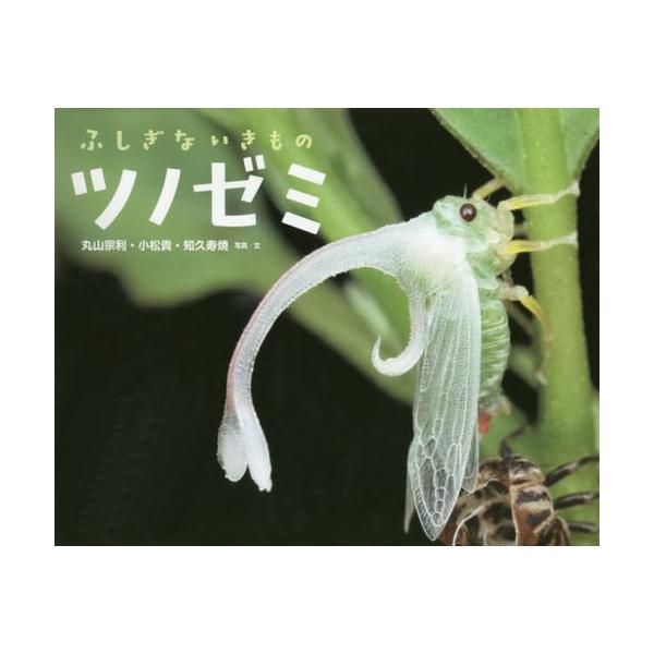 【発売日：2019年07月25日】丸山宗利/写真文 小松貴/写真文 知久寿焼/写真文/ふしぎないきものツノゼミ、メディア：BOOK、発売日：2019/07、重量：492g、商品コード：NEOBK-2384625、JANコード/ISBNコード...