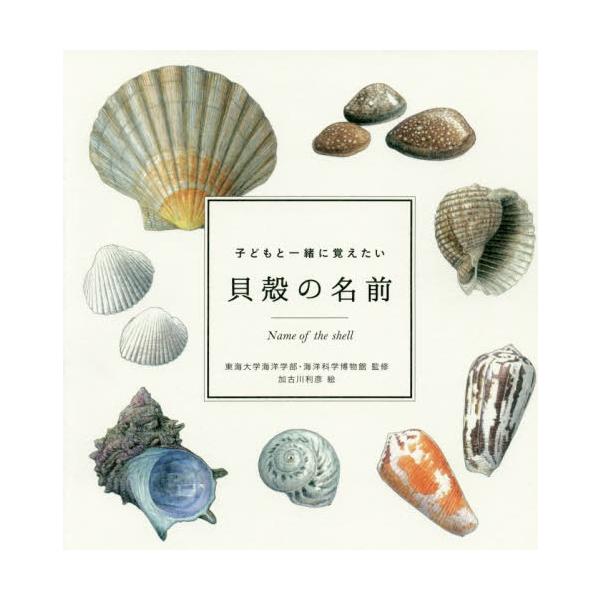【発売日：2019年08月01日】東海大学海洋学部/監修 海洋科学博物館/監修 加古川利彦/絵/子どもと一緒に覚えたい貝殻の名前 (momo)、メディア：BOOK、発売日：2019/08、重量：403g、商品コード：NEOBK-238684...