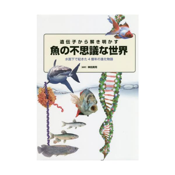 【発売日：2019年08月19日】神田真司/編著/[新版] 遺伝子から解き明かす魚の不思議な世界 水面下で起きた4億年の進化物語、メディア：BOOK、発売日：2019/08、重量：340g、商品コード：NEOBK-2396679、JANコー...