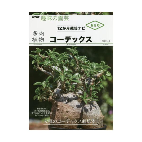 【発売日：2019年11月14日】長田研/著/多肉植物コーデックス (NHK趣味の園芸)、メディア：BOOK、発売日：2019/11、重量：264g、商品コード：NEOBK-2430818、JANコード/ISBNコード：9784140402856
