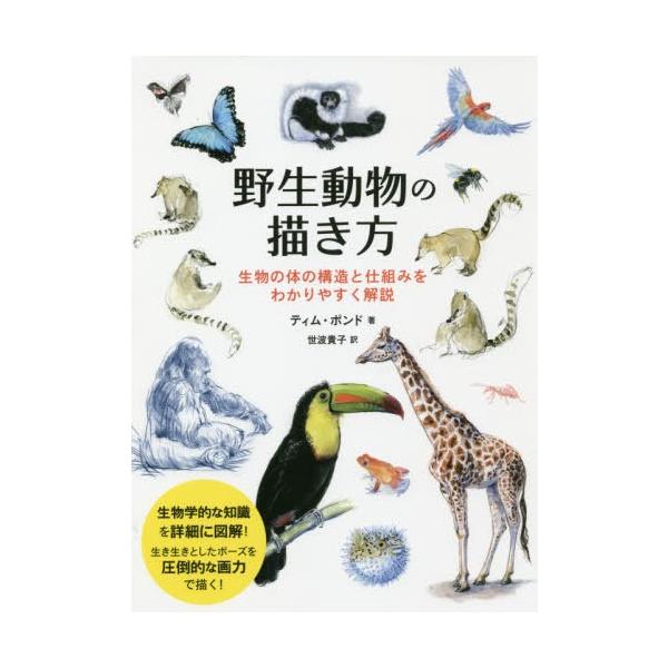 【発売日：2019年11月20日】ティム・ポンド/著 世波貴子/訳/野生動物の描き方 生物の体の構造と仕組みをわかりやすく解説 / 原タイトル:THE FIELD GUIDE TO DRAWING &amp; SKETCHING ANIMA...