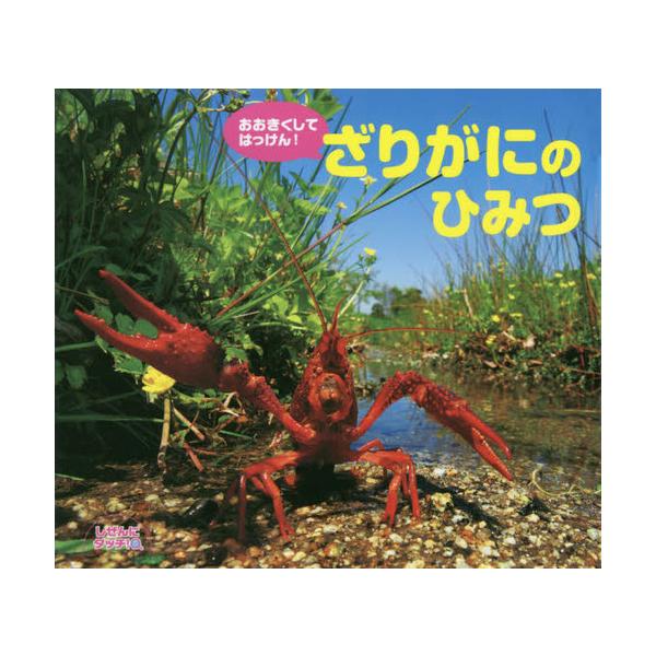 【発売日：2020年02月13日】ひさかたチャイルド/おおきくしてはっけん!ざりがにのひみつ (しぜんにタッチ!)、メディア：BOOK、発売日：2020/02、重量：340g、商品コード：NEOBK-2461614、JANコード/ISBNコ...