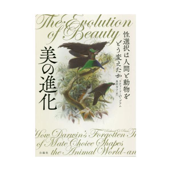 【発売日：2020年02月17日】リチャード・O・プラム/著 黒沢令子/訳/美の進化 性選択は人間と動物をどう変えたか / 原タイトル:THE EVOLUTION OF BEAUTY、メディア：BOOK、発売日：2020/02、重量：340...