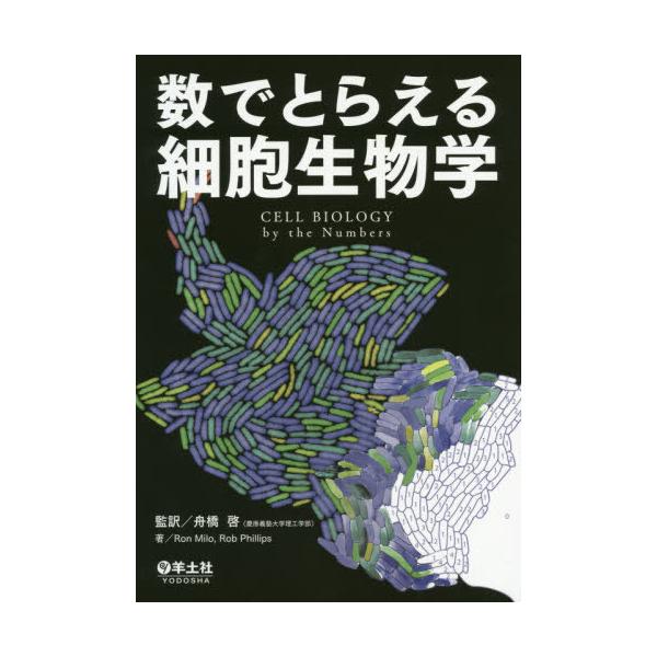 【発売日：2020年03月16日】RonMilo/著 RobPhillips/著 舟橋啓/監訳/数でとらえる細胞生物学 / 原タイトル:CELL BIOLOGY BY THE NUMBERS、メディア：BOOK、発売日：2020/03、重量...