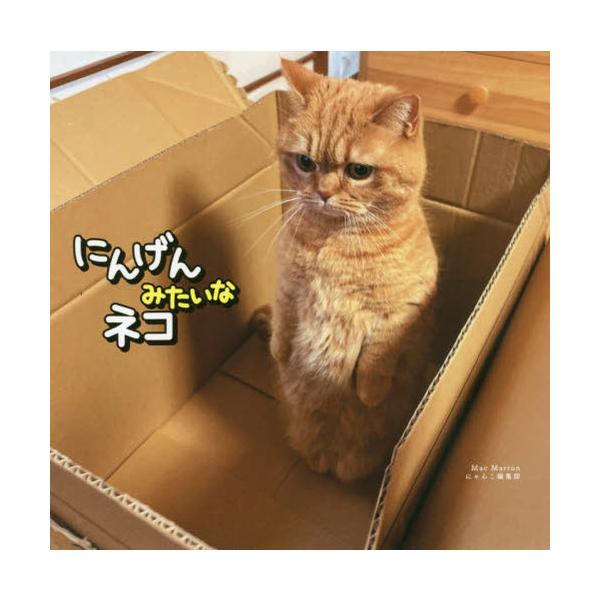 【発売日：2020年05月21日】MacMarron/著 にゃんこ編集部/編集/にんげんみたいなネコ、メディア：BOOK、発売日：2020/05、重量：340g、商品コード：NEOBK-2495924、JANコード/ISBNコード：9784...